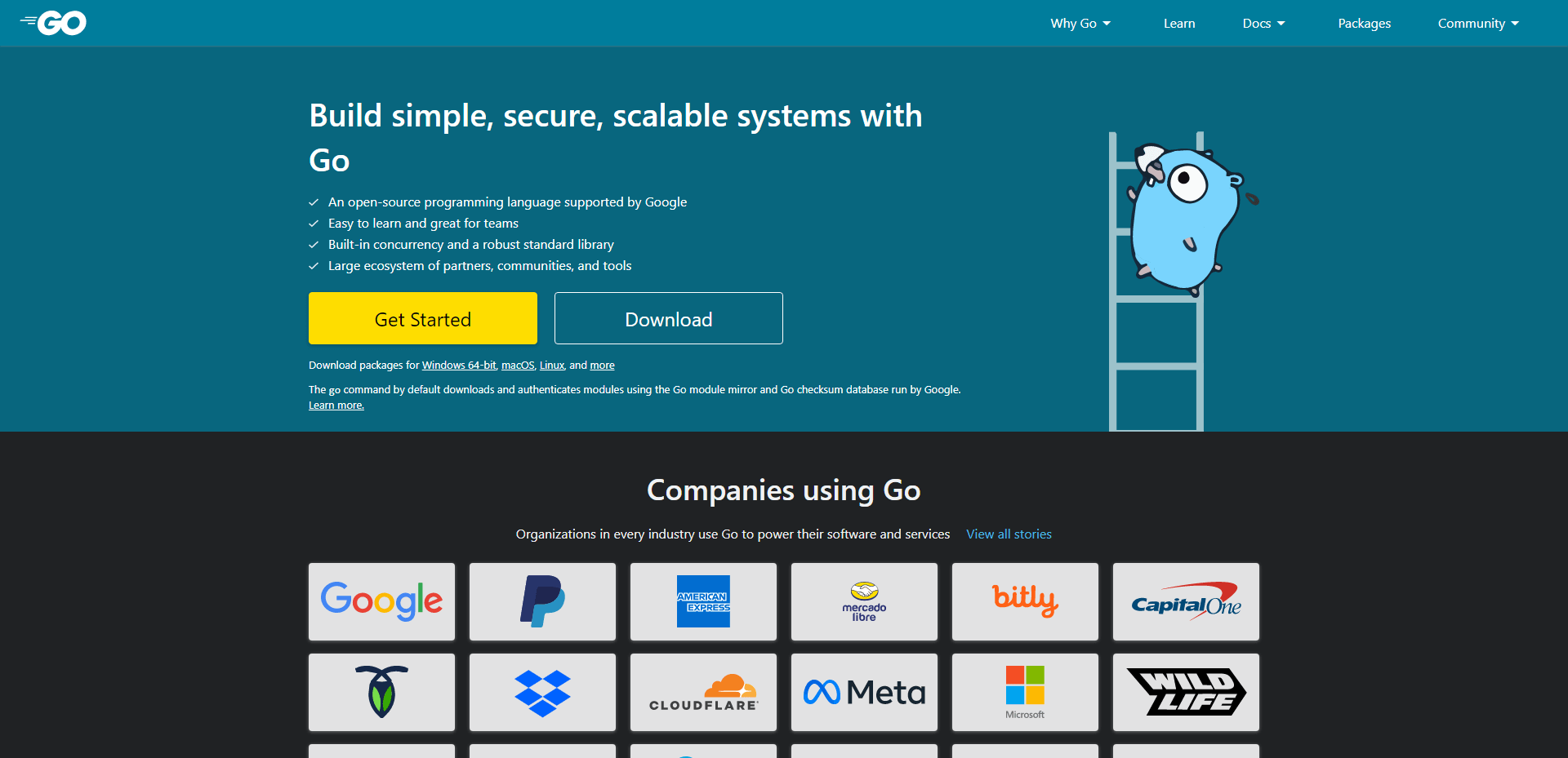 10 Best Programming Languages to Learn in 2024 - Stack Diary